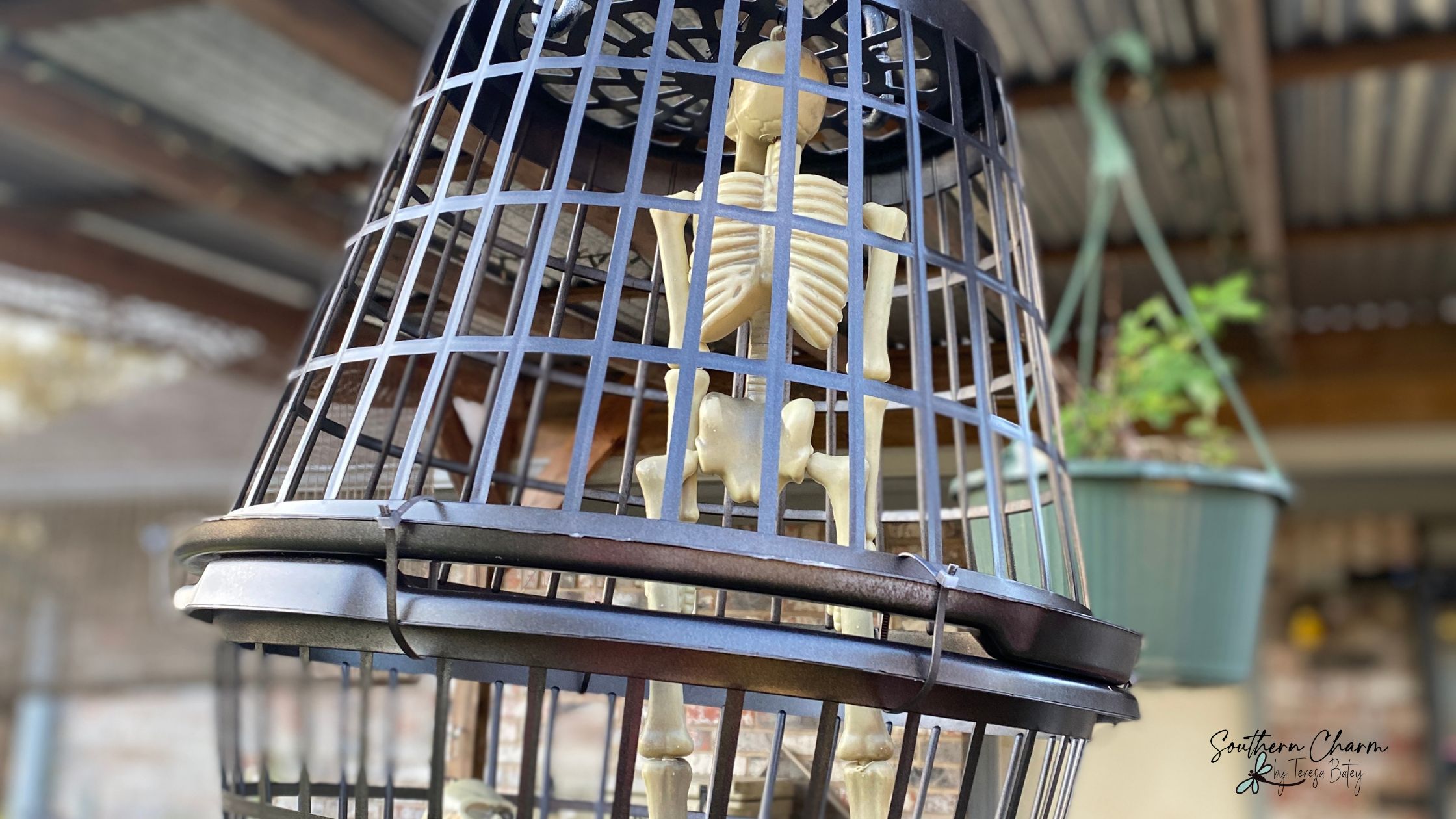 DIY Skeleton Cage For Halloween